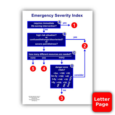 ESI Algorithm & Details/Definitions 8.5"x11" Cardstock Page - Scrub Pocket
