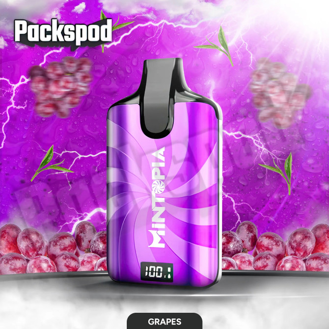 MiNTOPiA 6000 Disposable MiNTOPiA physical Packs Pod