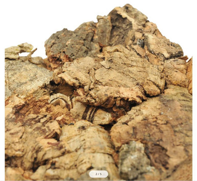 SPD Extra Large Cork Bark – 150mm x 150mm – 20mm Thick (2010)