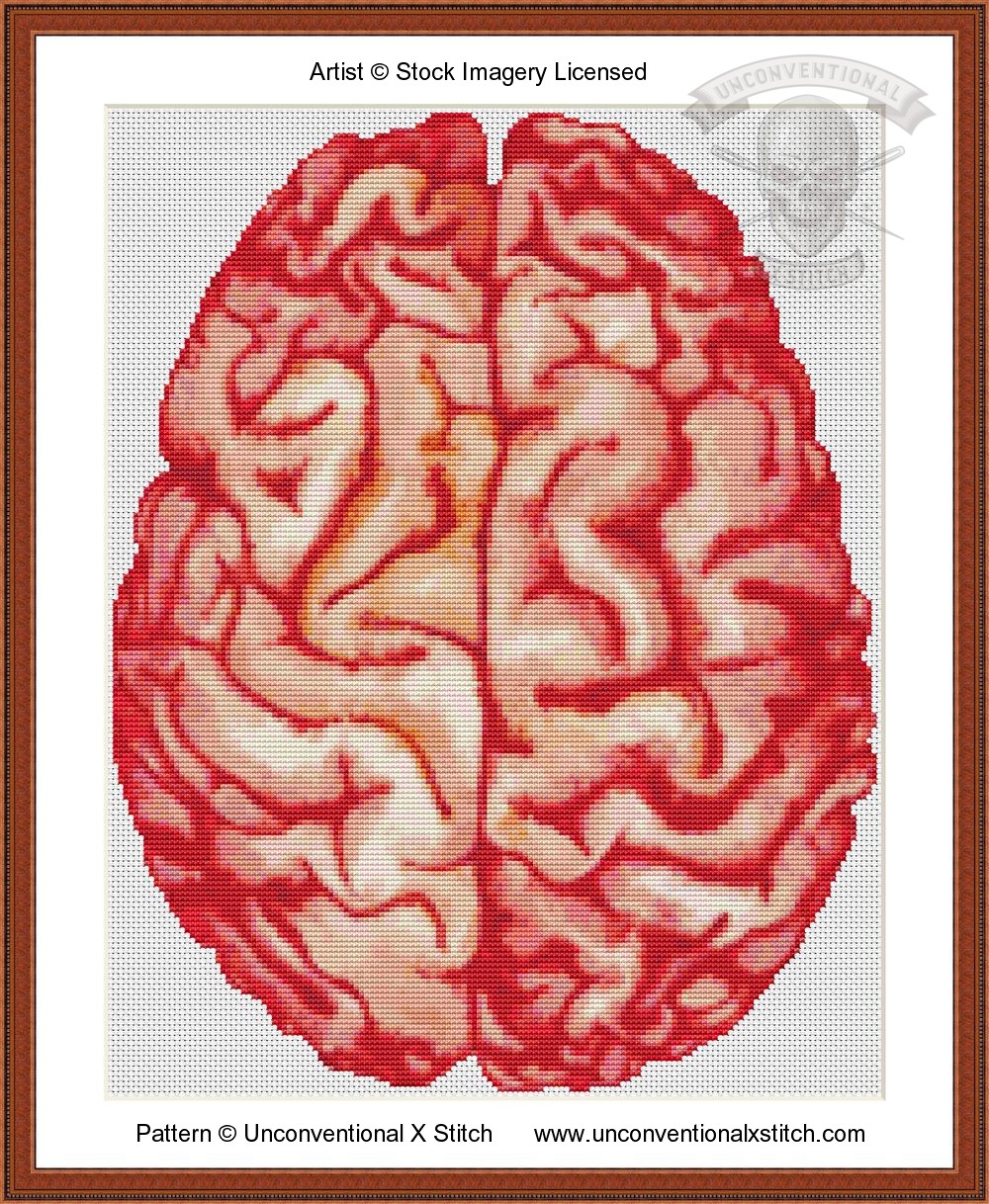Anatomical Brain cross stitch pattern | Unconventional X Stitch