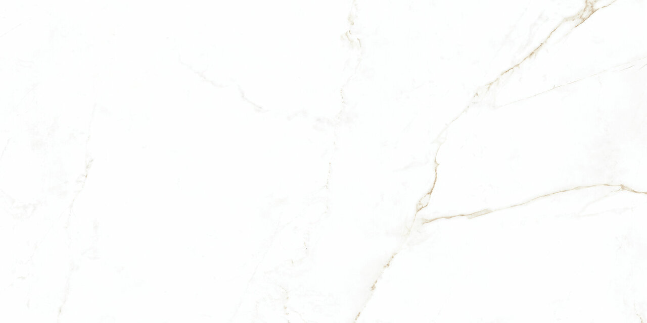 Dual Matte 24x48 Porcelain Tile