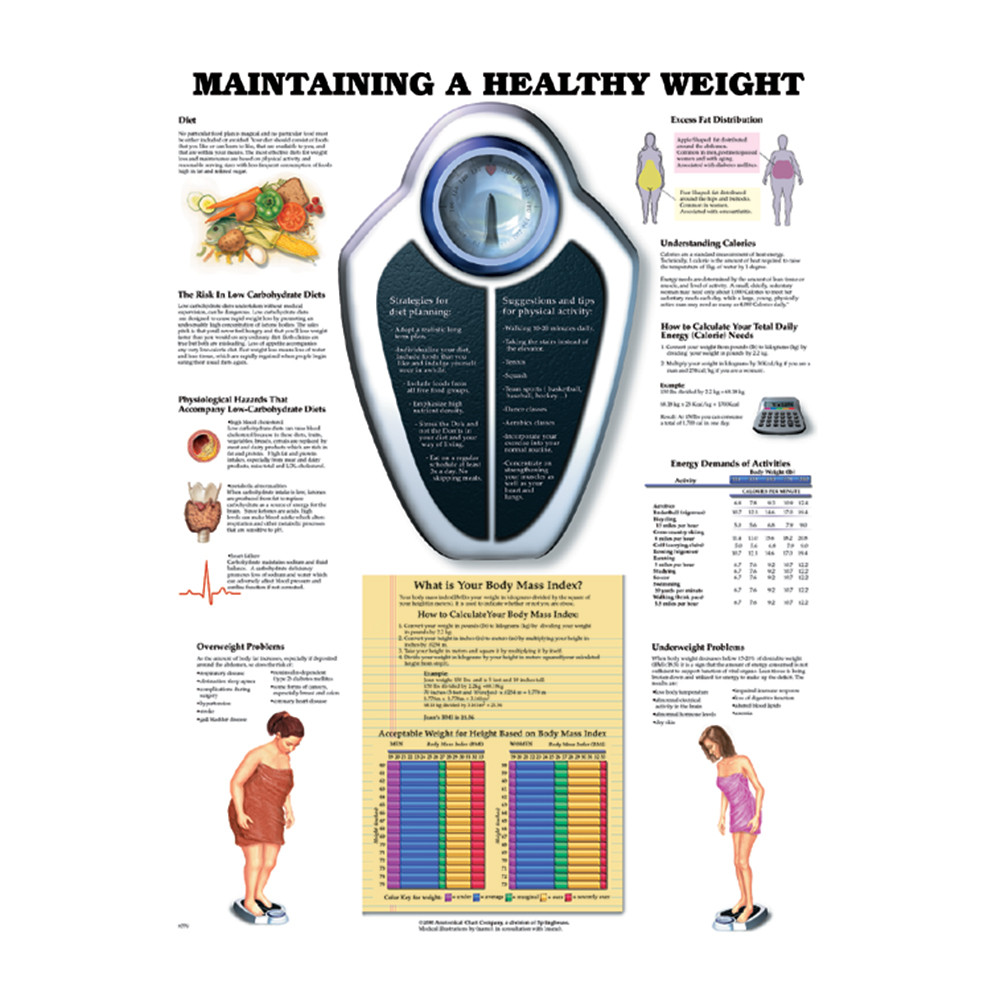 MAINTAINING A HEALTHY WEIGHT CHART