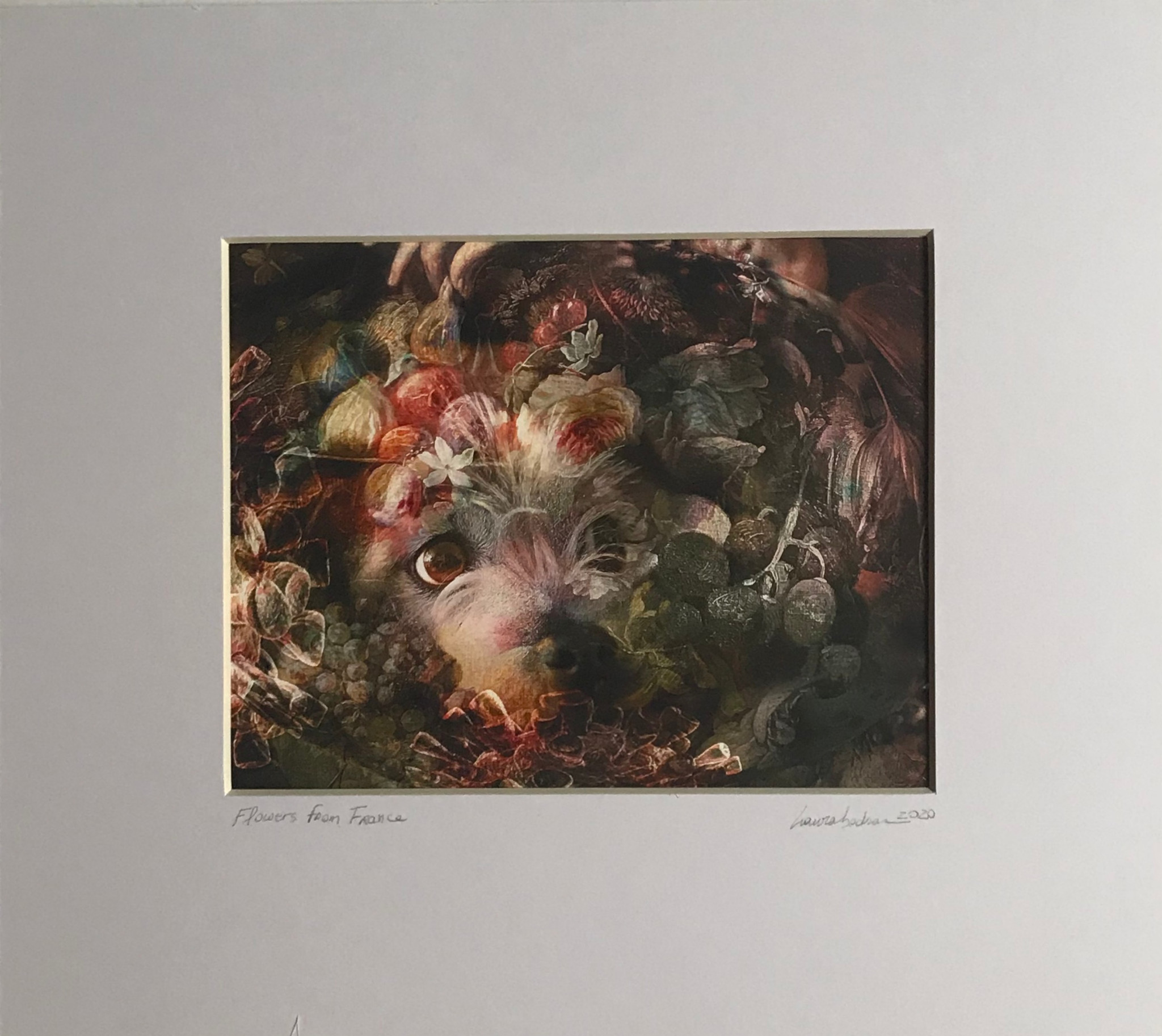 Laura Dodson, Flowers from France, 2020 - Alpha 137 Gallery