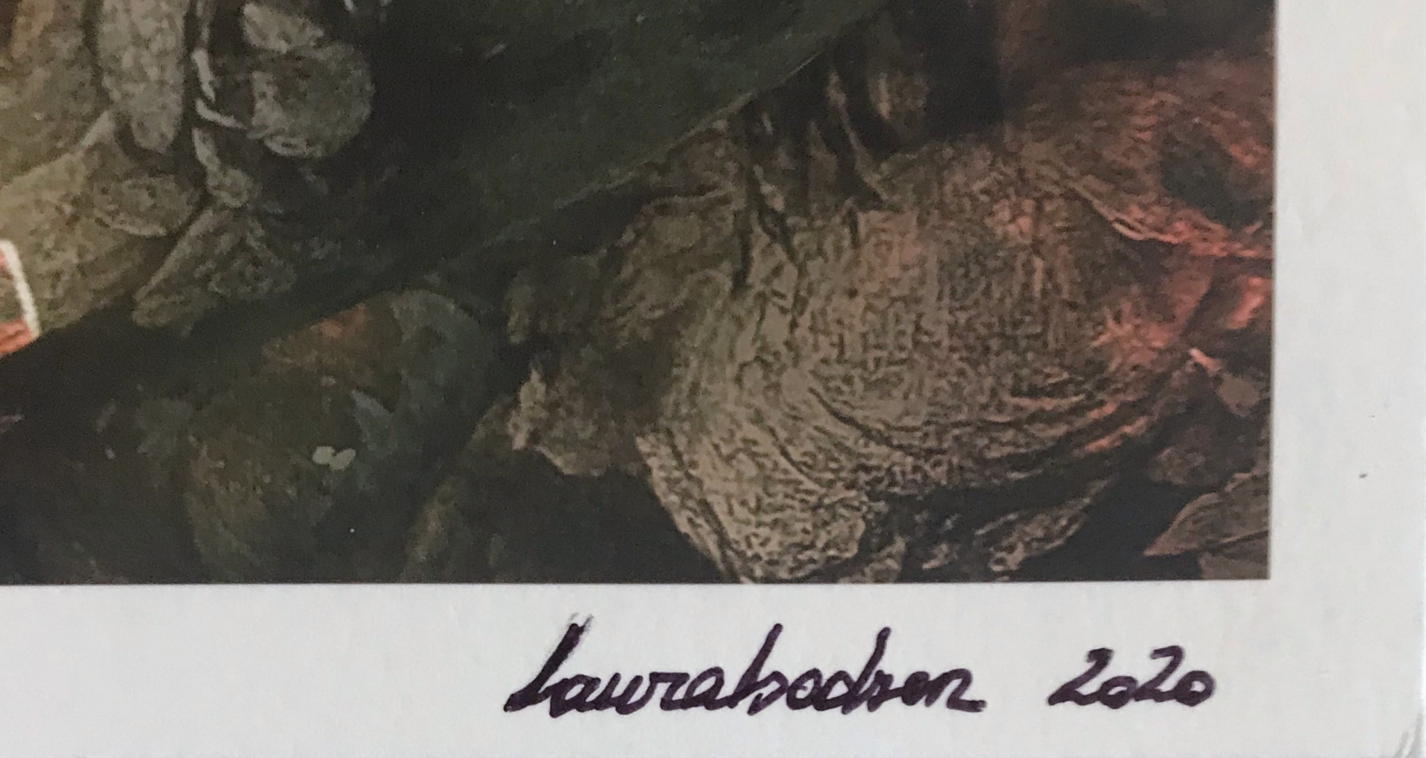 Laura Dodson, Flowers from France, 2020 - Alpha 137 Gallery
