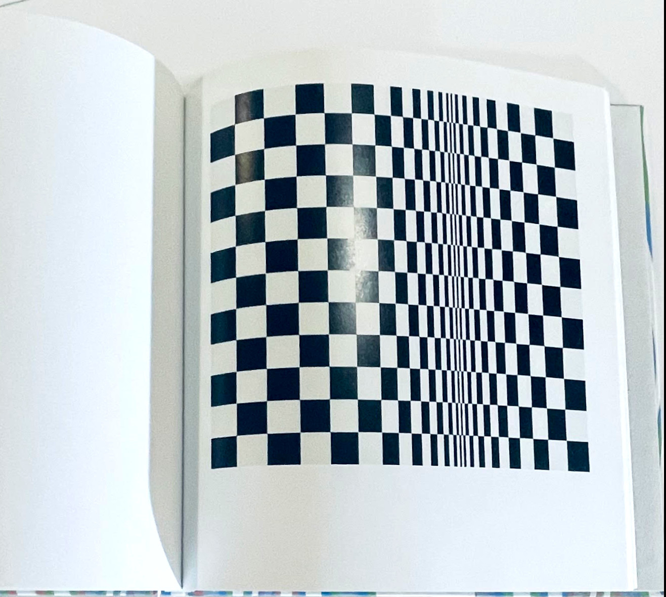 Bridget Riley, Bridget Riley: Reconnaissance (hand signed and inscribed ...