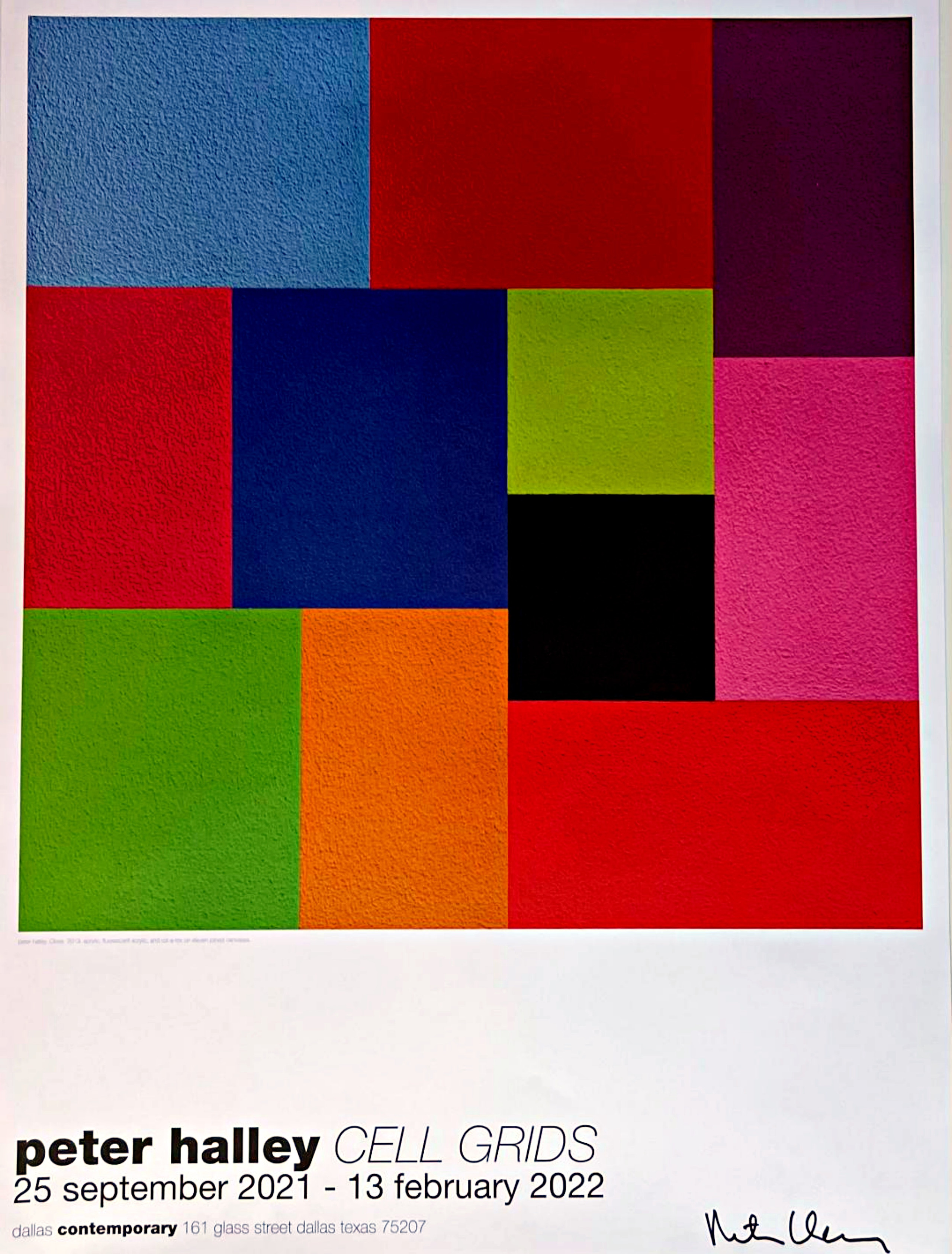 Peter Halley: Poster Collection - Page 1 - Alpha 137 Gallery