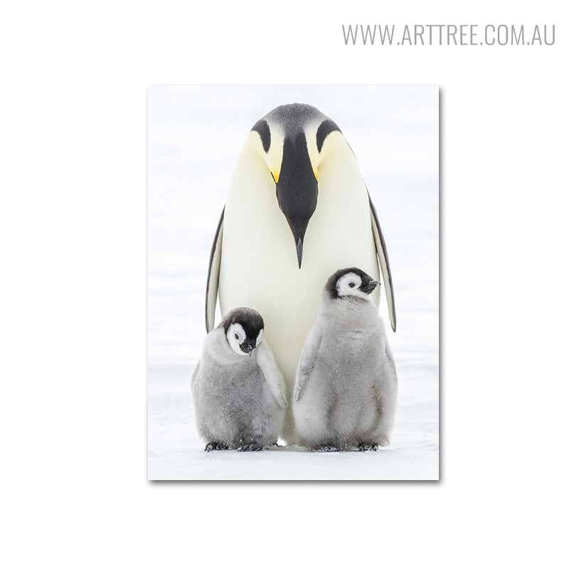 Penguins Home - arttree.com.au