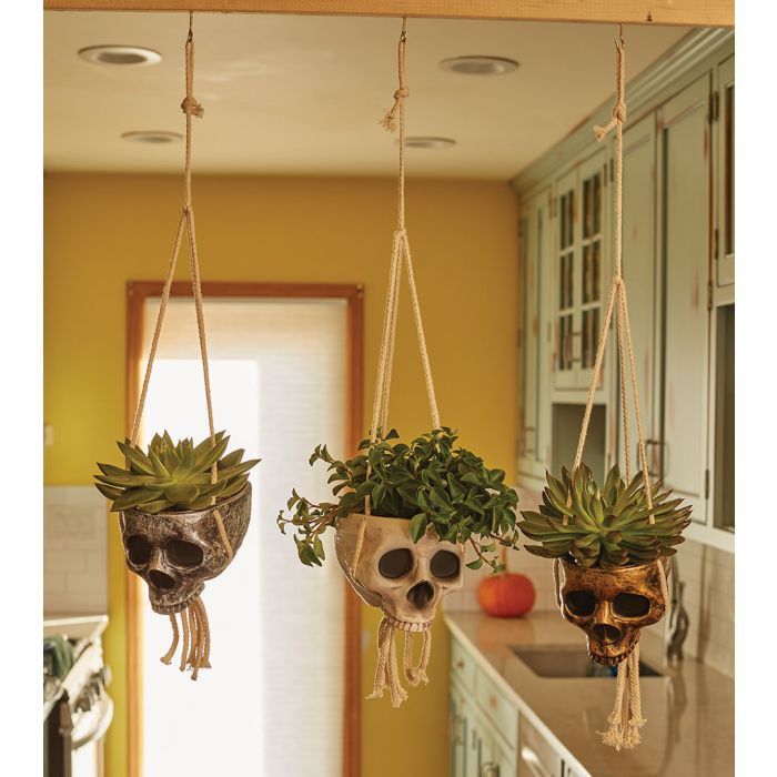 Hanging Skull Planter - Imaginations Costume & Dance