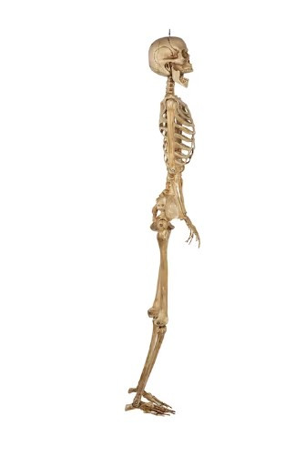 Props & Decor - Poseable Props - Imaginations Costume & Dance