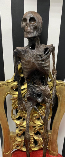 MBP Small Rotted Corpse Prop - Imaginations Costume & Dance