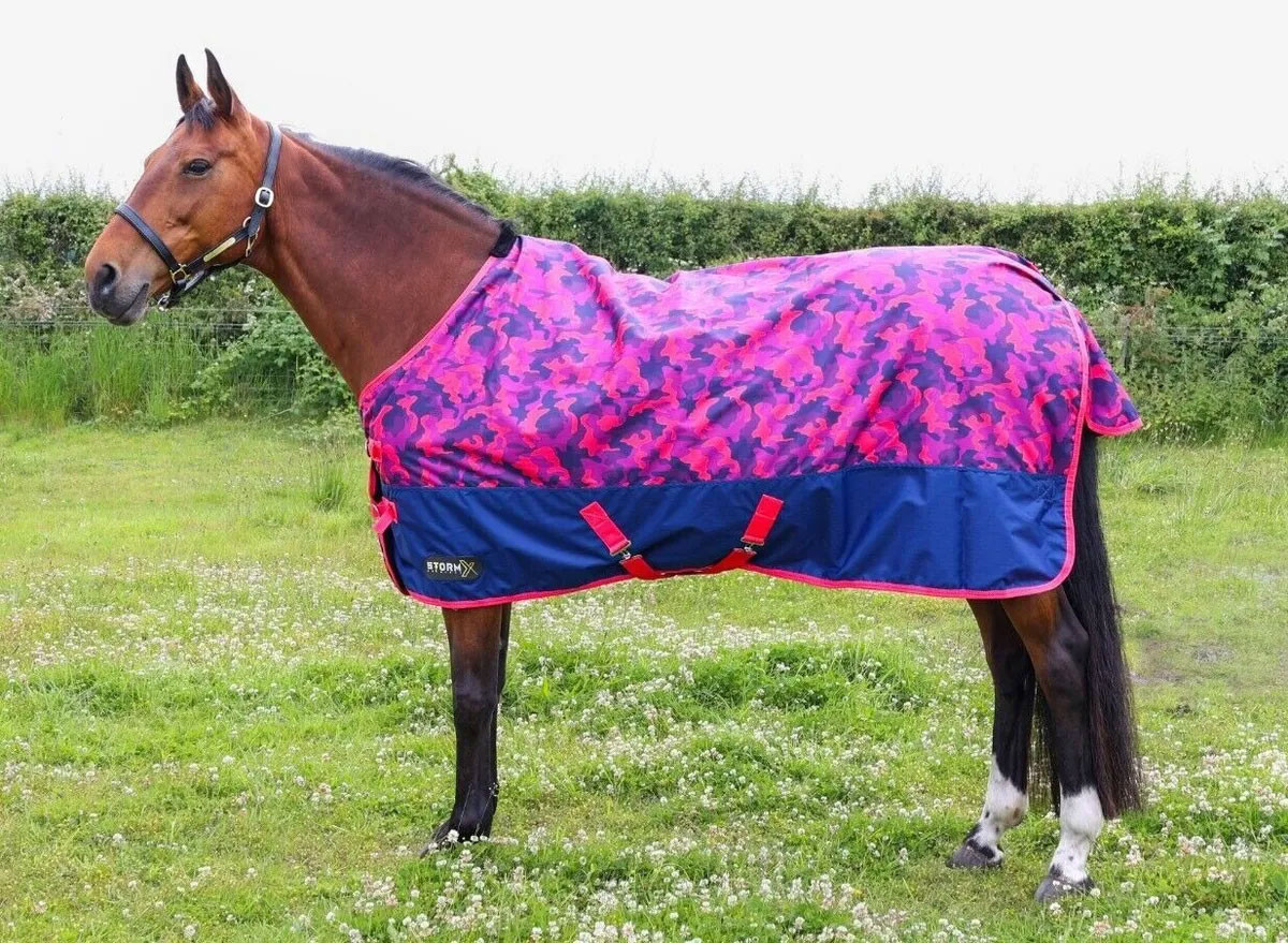 Turnout Rugs, Lightweight & Medium weight Turnout Rug