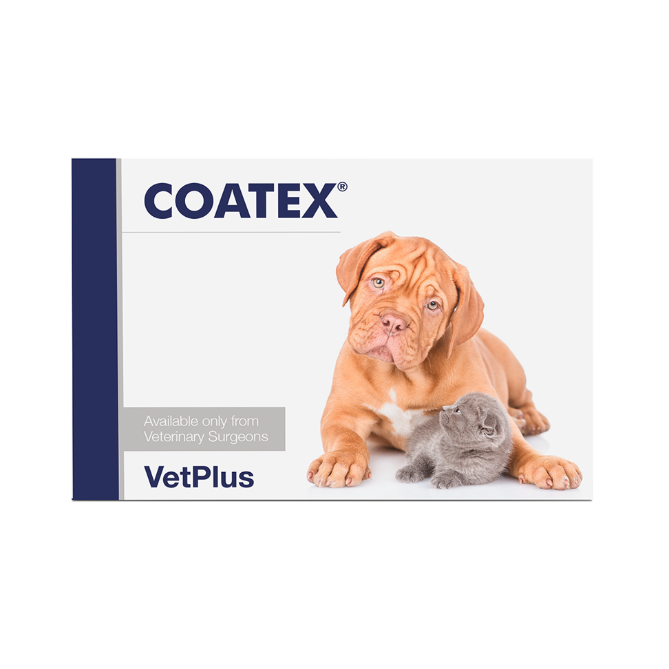 Coatex EFA