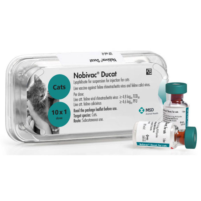Nobivac Ducat Suspension for Injection for cats POM