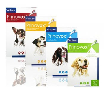 Prinovox Spot On solution for Dogs (Pack of 4)