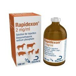 Rapidexon 2 mg/ml Solution for Injection