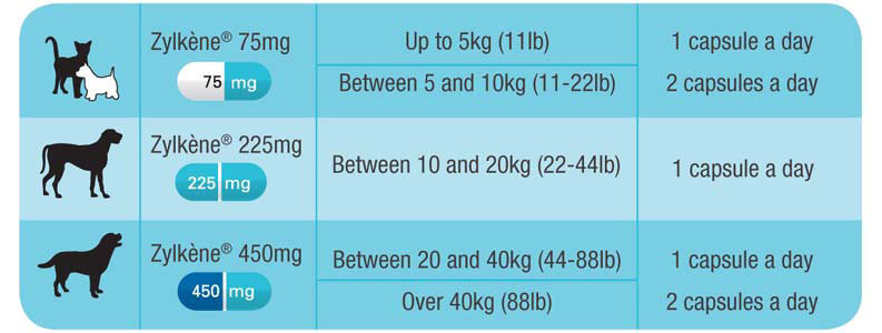 Zylkene Capules for Cats and Dogs