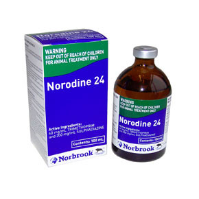 Norodine 24 Injection 100ml POM