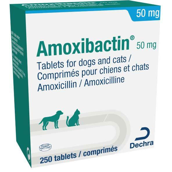 Amoxibactin Tablets (Pack of 250)