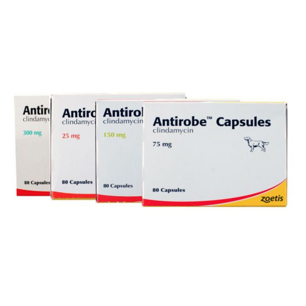 Antirobe Capsules POM