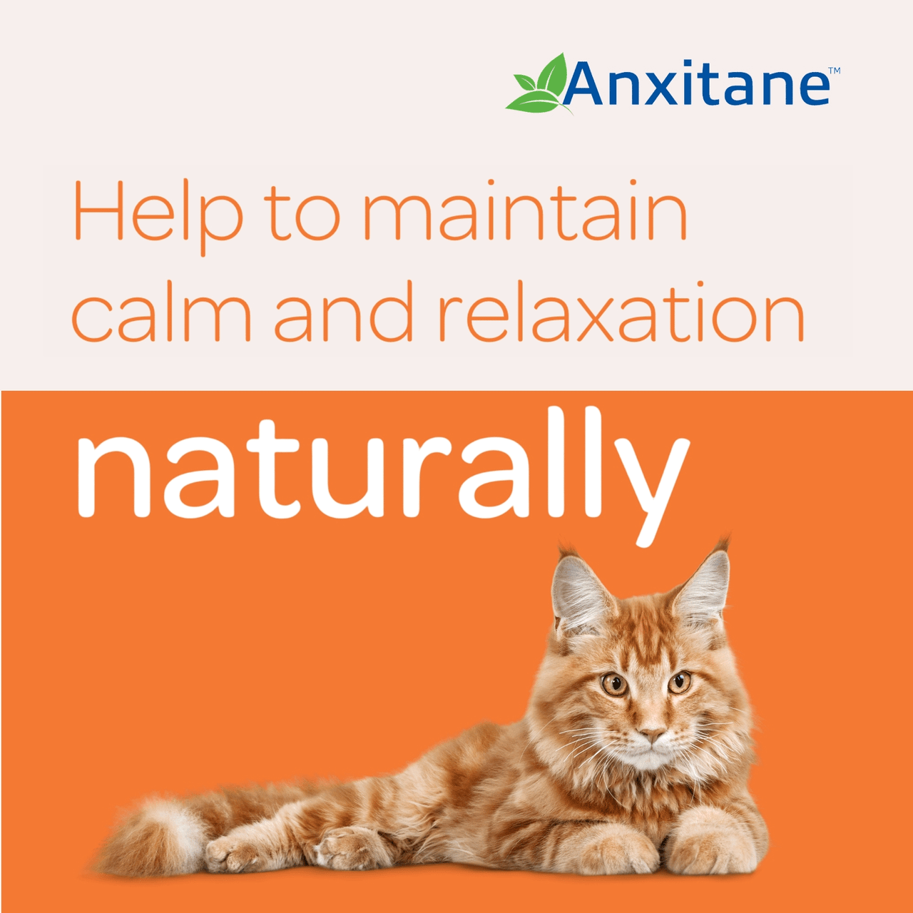 Anxitane Chewable Tablets