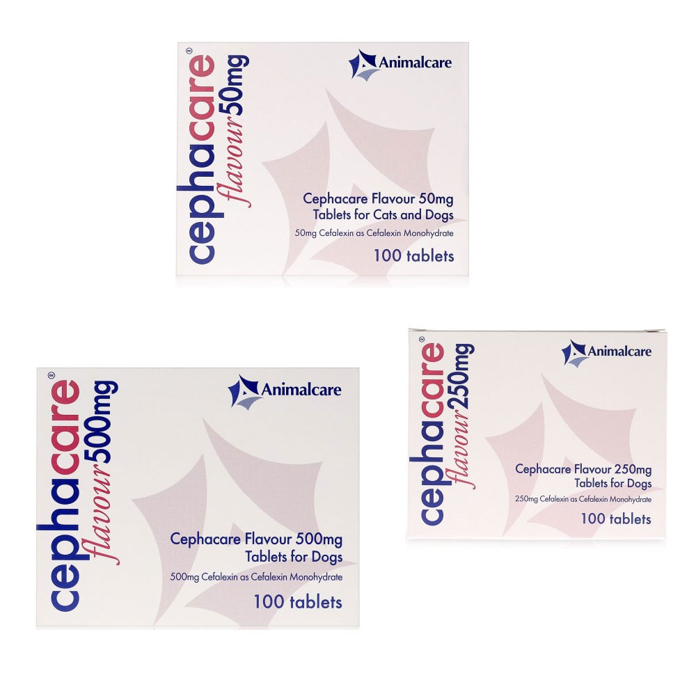 Cephacare Flavour tablets for Dogs POM