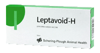 Leptavoid H