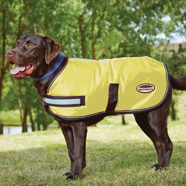 WeatherBeeta Reflective Yellow Dog Coat