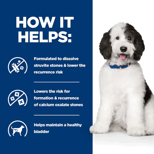Hill's c/d Multicare Dog Food:Urinary Care & Stone Reduction