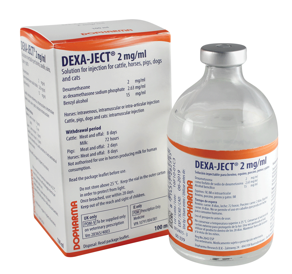 Dexa-ject 2 mg/ml Solution for Injection 100ml POM