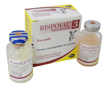 Rispoval 3 Suspension for Injection for Cattle (5 Doses)