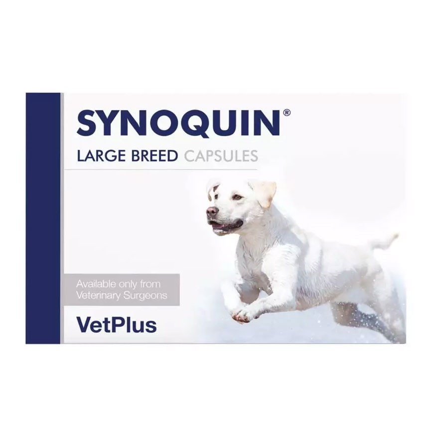 Synoquin Large Breed Capsules (pack of 120)