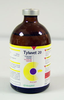 Intra-Epicaine 2.0% w/v Solution for Injection for Horses