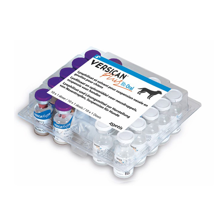 Versican Plus Bb Oral Suspension for dogs