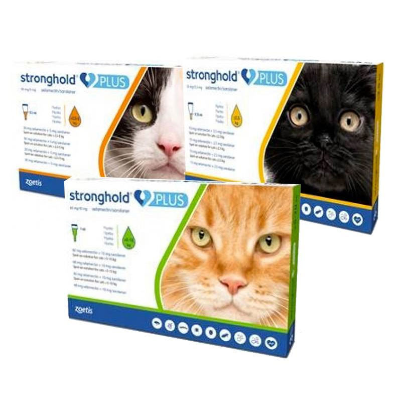 Stronghold Plus spot-on solution for kittens/small cats