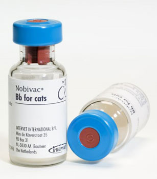 Nobivac FELV POM | Hyperdrug