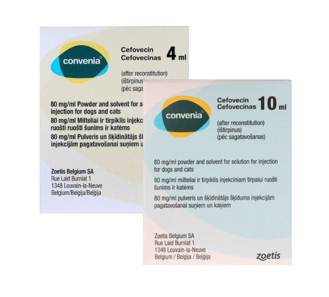 Convenia 80 mg/ml powder and solvent for solution POM