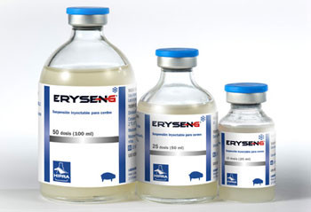 Eryseng Injection