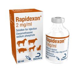 Rapidexon 2 mg/ml Solution for Injection