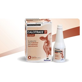 Calciboost Liquid 500ml