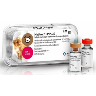 Nobivac DHP Vaccine for dogs POM