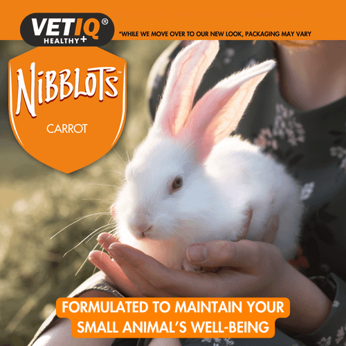 Vetiq Nibblots: Tasty Treats for Small Animals