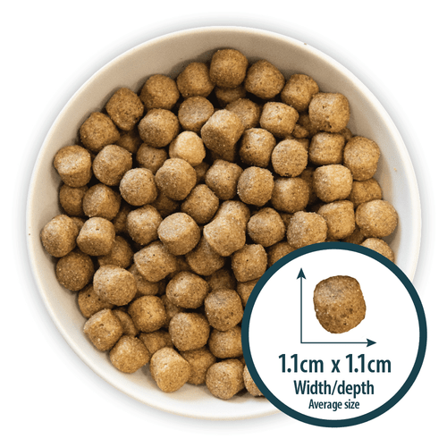 Burns Alert Dry Dog Food Lamb & Rice 7.5kg