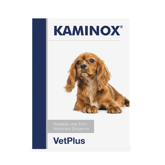 VetPlus Vetsalve for Cats and Dogs 20g
