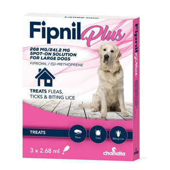 Dog Supplies, Accessories & Products for Canines | Hyperdrug