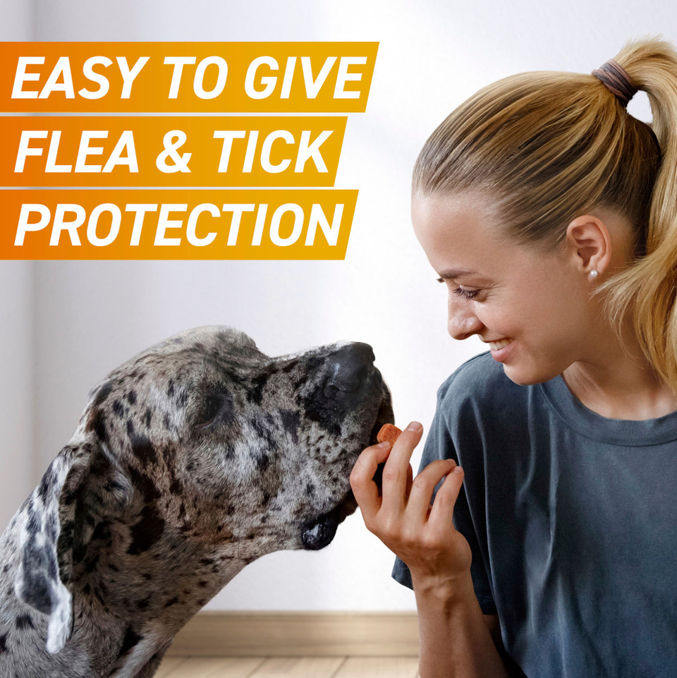 FRONTPRO Chewable Tablets Flea & Tick Treatment