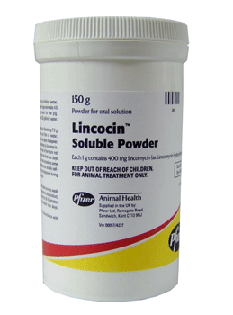 Lincocin Soluble Powder for Oral Solution 150g