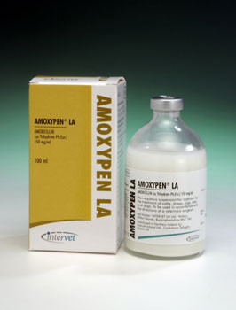 Depocillin Injection 100ml POM | Hyperdrug