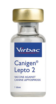 Nobivac Lepto 4 | Hyperdrug