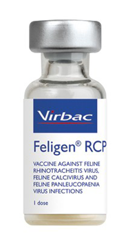 Feligen RCP Immunisation Vaccine for cats and kittens POM