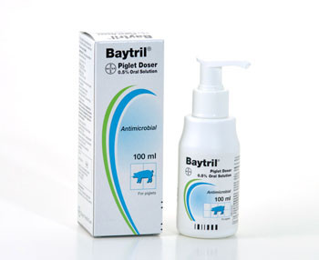 Baytril Oral POM | Hyperdrug